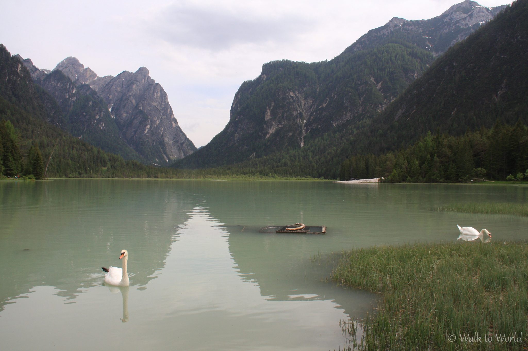 Dobbiaco e il Sentiero Natura del Lago di Dobbiaco - Walk to World