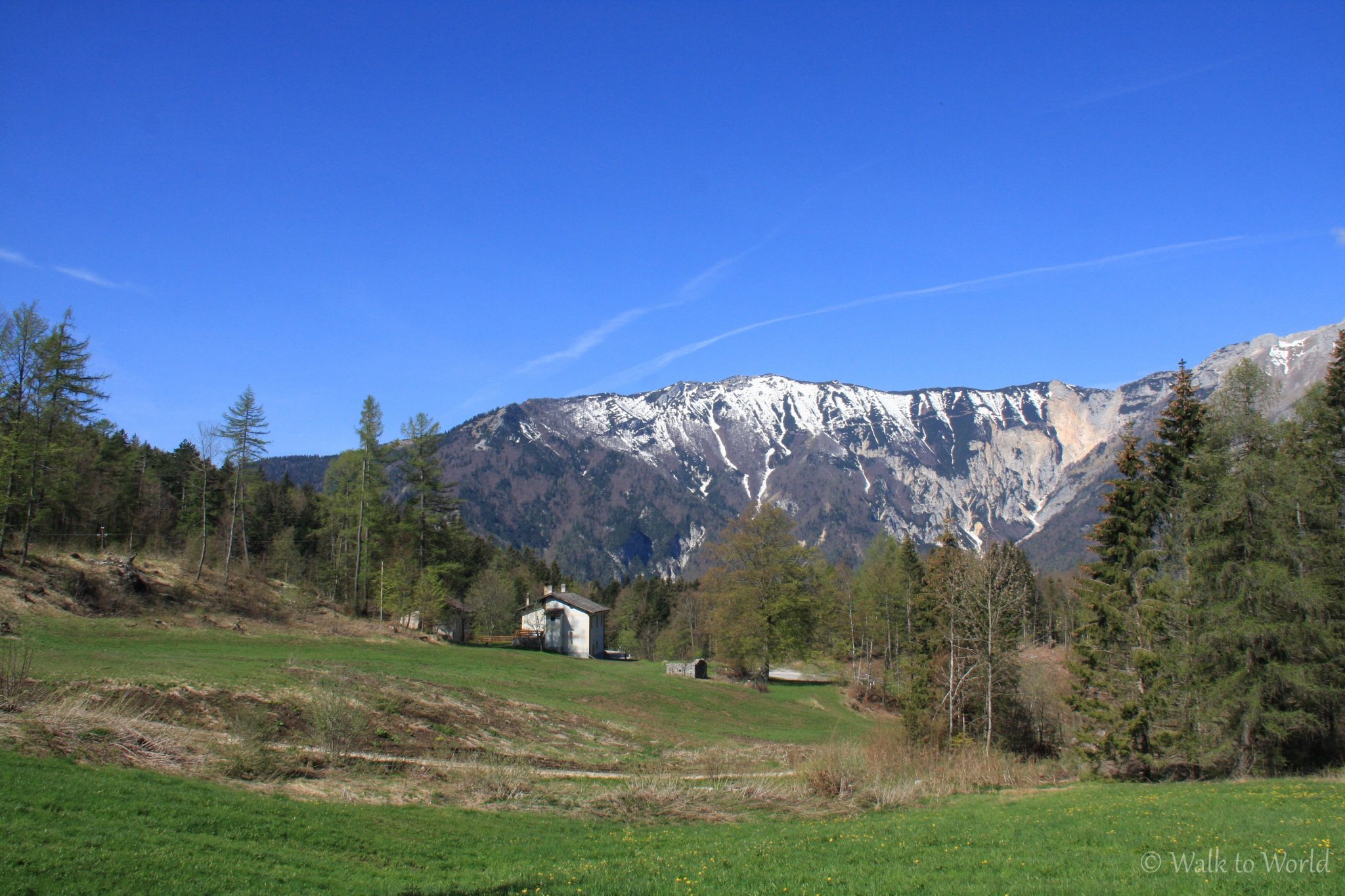 Percorso del Respiro degli Alberi a Lavarone - Walk to World
