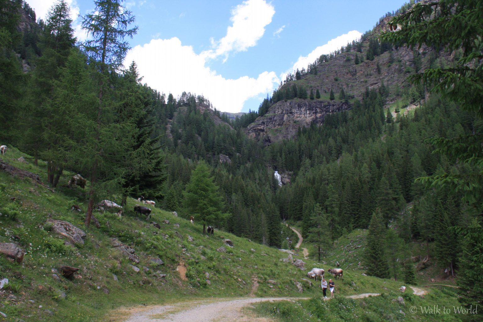 Val di Rabbi il Sentiero alle Cascate del Saènt - Walk to World