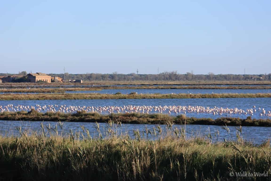 Comacchio e le sue Valli cosa vedere in un giorno - Walk to World