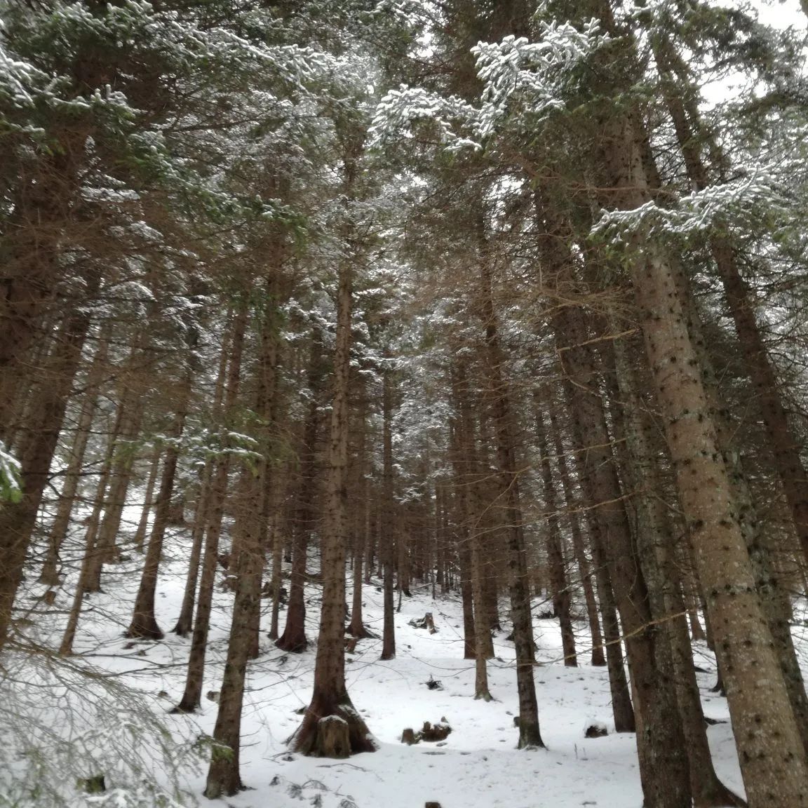 Umbria on the road itinerario di 5 giorni - Walk to World