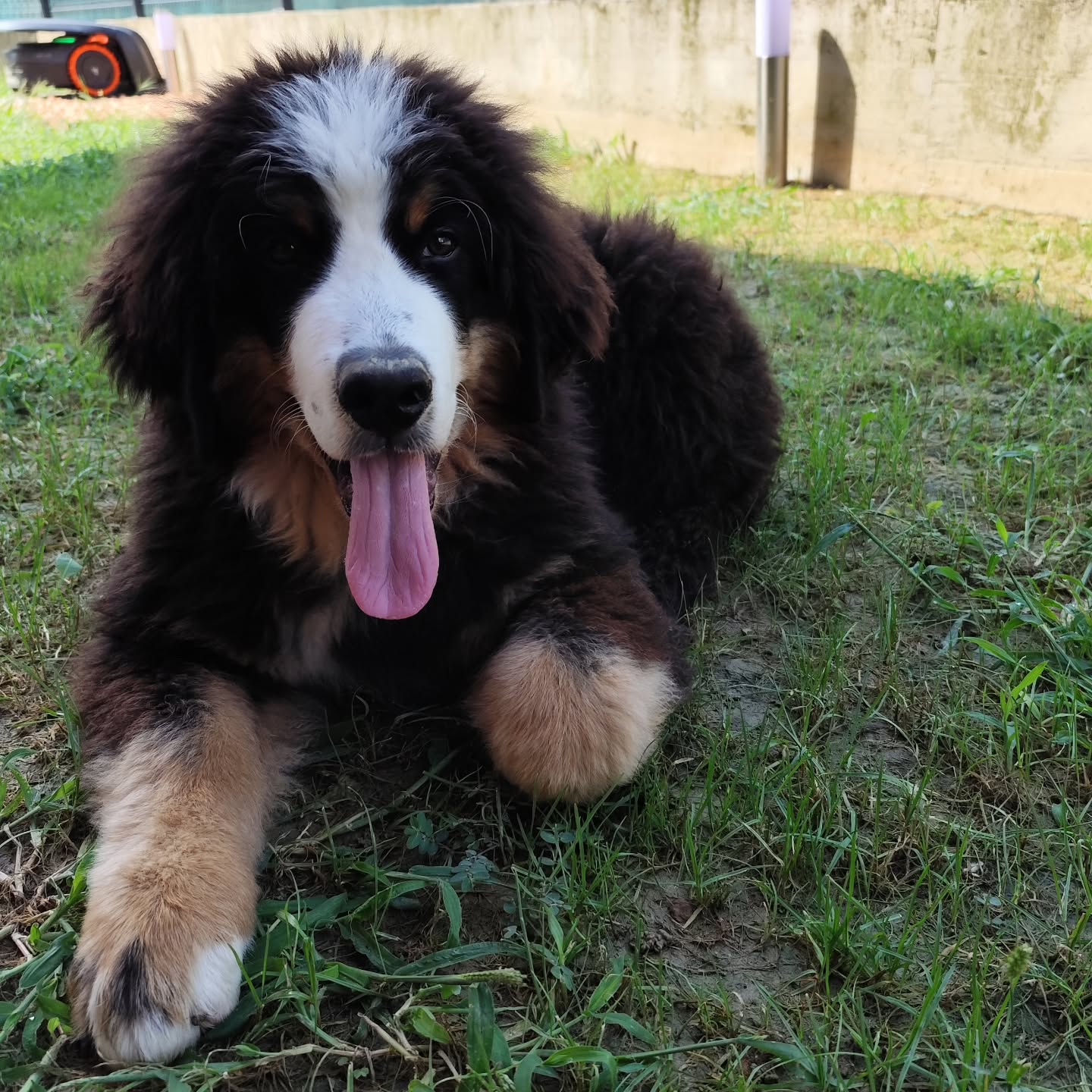 Come organizzare il vostro primo viaggio in Giappone - Walk to World