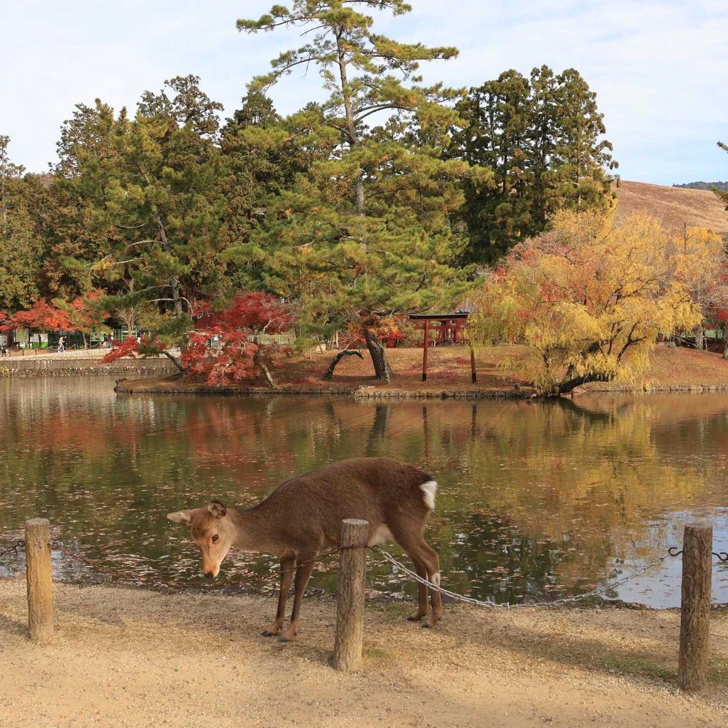 Monument Valley tutto ciò che devi sapere per visitarla - Walk to World
