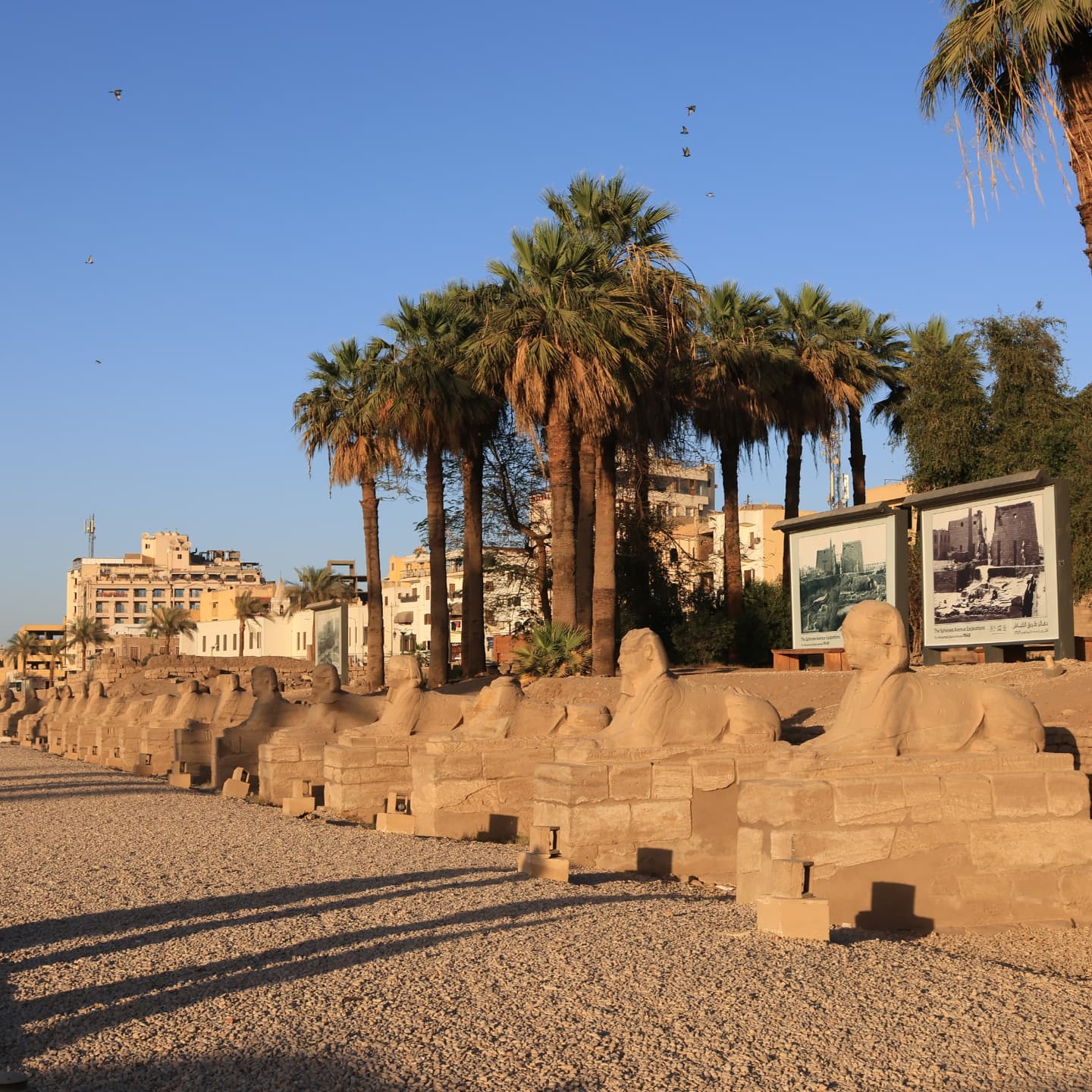 Come organizzare il vostro primo viaggio in Giappone - Walk to World