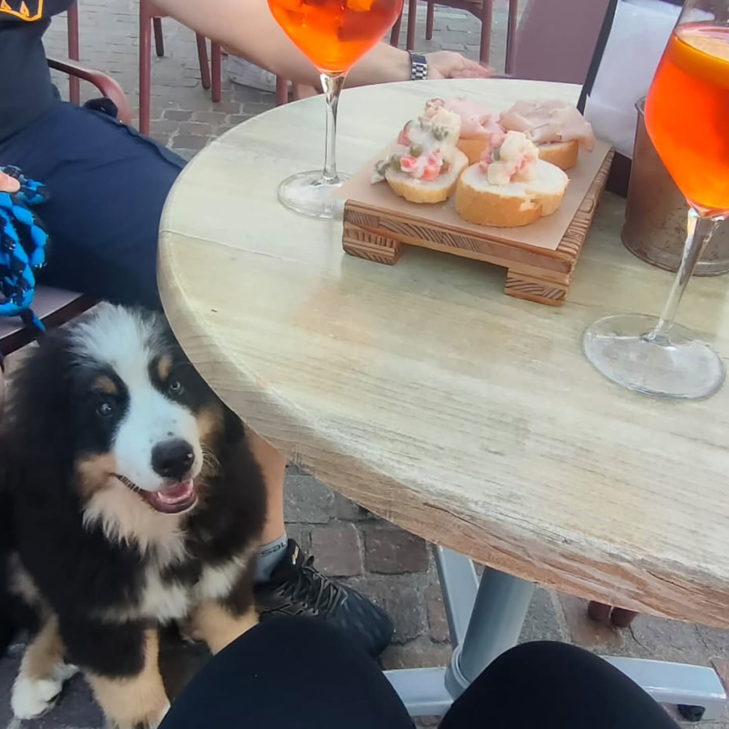 Come organizzare il vostro primo viaggio in Giappone - Walk to World